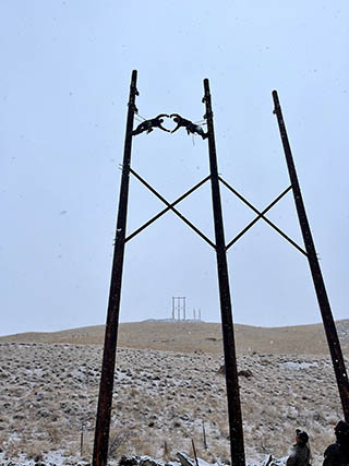 Poleline Contractors Inc | Careers